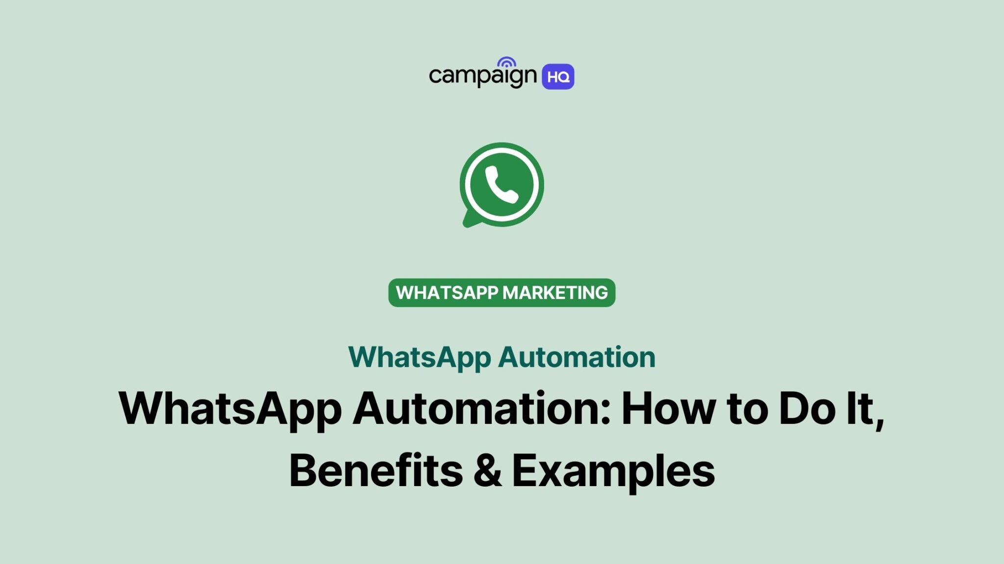 What Is A WhatsApp Campaign? How To Create One In 2025