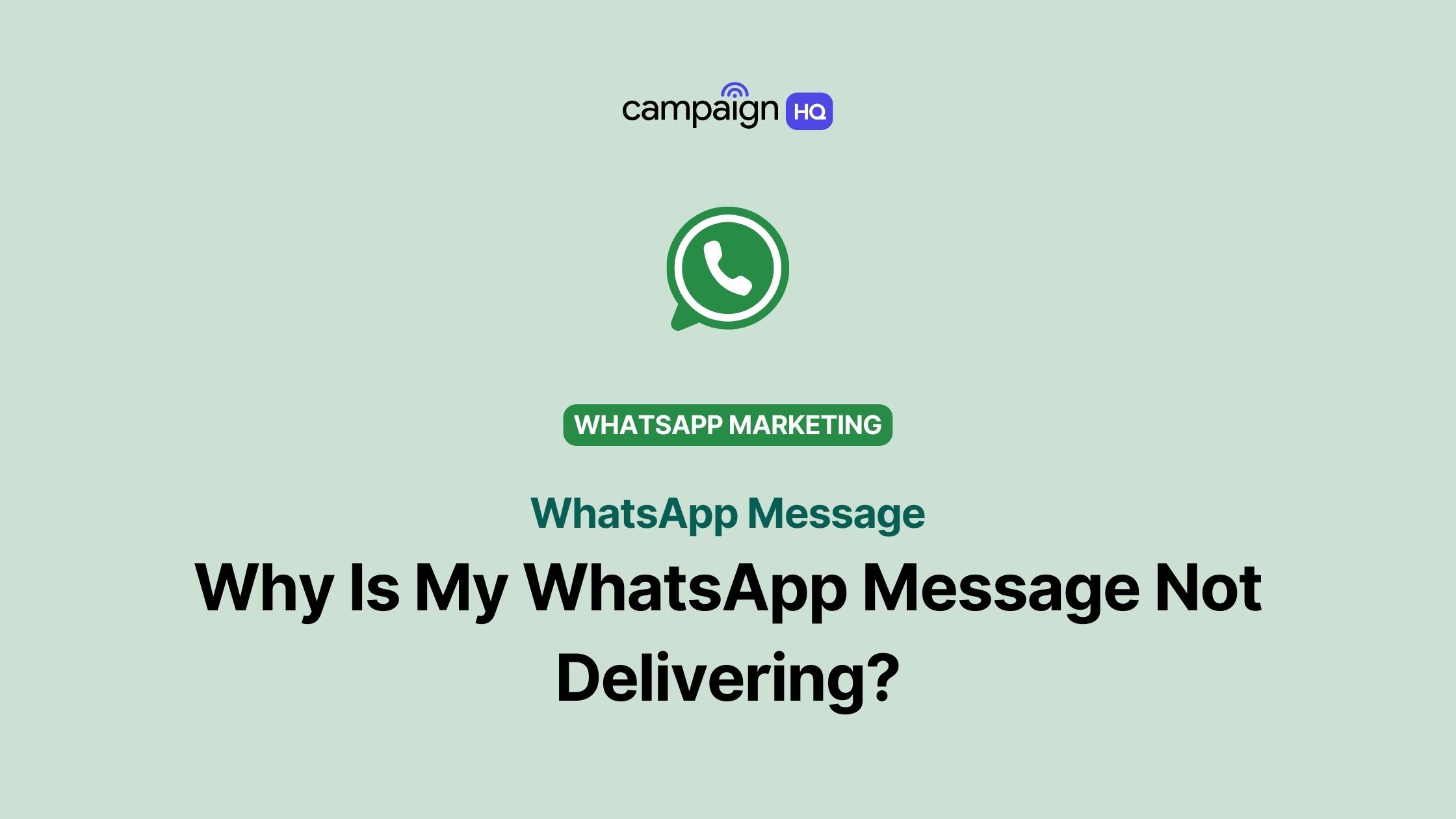 Why Is My WhatsApp Message Not Delivering?